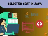 Selection Sort In Java Naukri Code 360