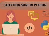 Selection Sort Python Example Code And Time Complexity Explained