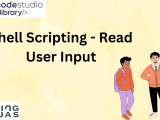 Shell Scripting Read User Input Naukri Code 360