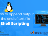Shell Scripting How To Append Output To The End Of Text File Naukri