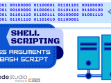 Shell Scripting Pass Arguments To A Bash Script Naukri Code 360