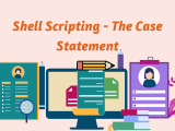 Shell Scripting The Case Statement Naukri Code 360