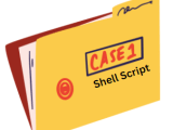 Shell Scripting The Case Statement Naukri Code 360