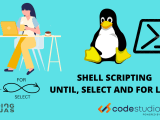 Shell Scripting Until Select And For Loop Naukri Code 360