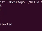 Shell Scripting Until Select And For Loop Naukri Code 360