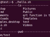 Shell Scripting Until Select And For Loop Naukri Code 360