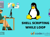 Shell Scripting While Loop Naukri Code 360