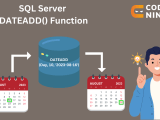 Sql Server Dateadd Function Naukri Code 360