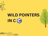 Wild Pointer In C Naukri Code 360