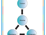 The Four Part Processing Model For Word Recognition Resource Library