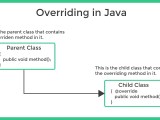 Overriding In Java Language Prepinsta