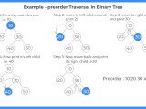 Preorder Traversal In Binary Tree In Java Prepinsta