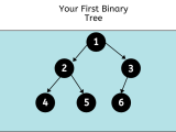 Binary Trees In Data Structures Introduction Prep Insta