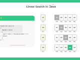 Linear Search In Java Programming Prepinsta