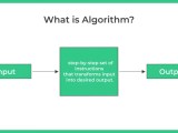 Searching Algorithms In Python Prepinsta