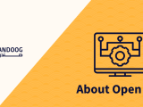 About Sandoog Open Api