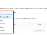 Configuring Api Authentication