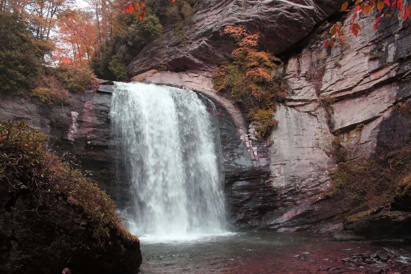 Looking Glass Falls: A Waterfall View For Everyone - Finding Mandee