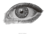 Drawing Eyes Tutorial