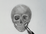 Skull Drawing Tutorial Fine Art Tutorials
