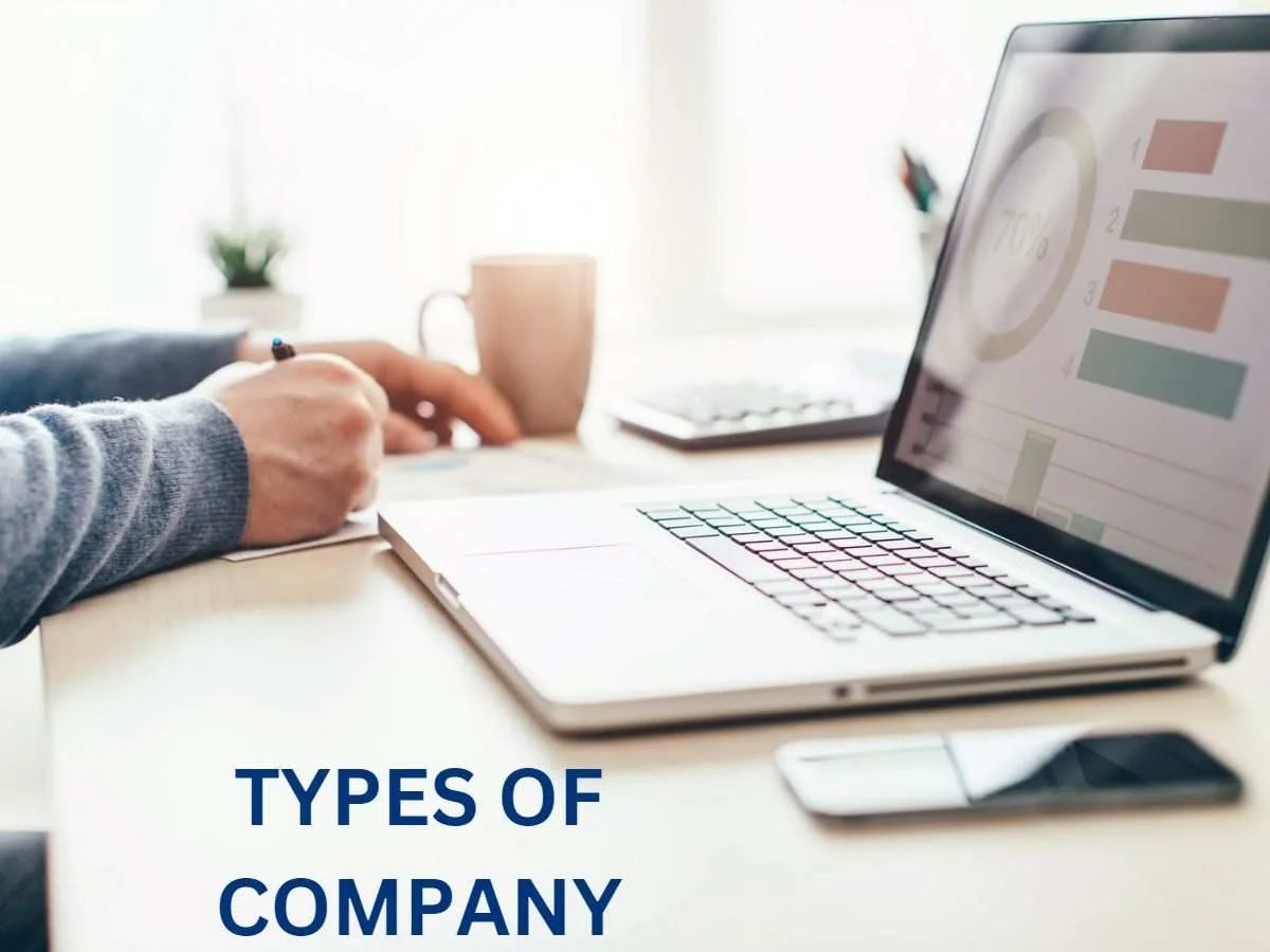 Types of Company with example, classification (10 Important Things to ...