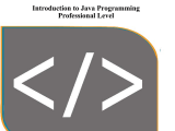 Introduction To Java Programming Professional Level Finstock Evarsity