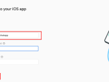 Setting Up Firebase Fireapp