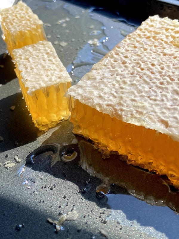 Raw Comb Honey – Firefly Fields
