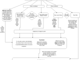 Data Sanitization Firefox Source Docs Documentation