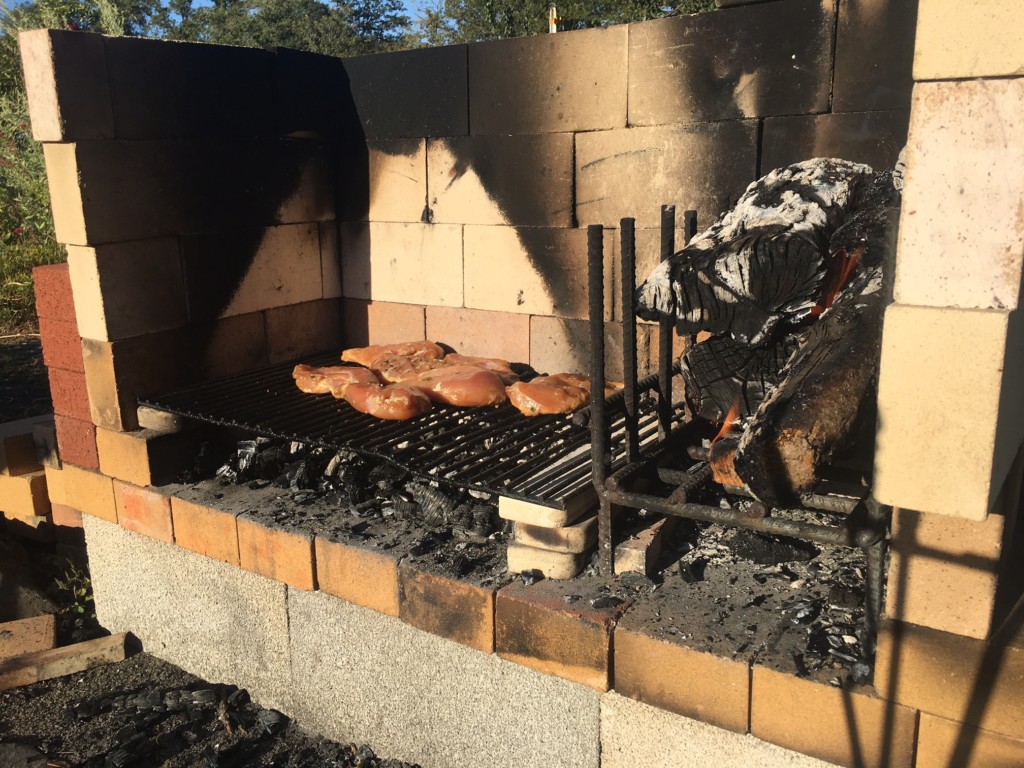 Wood-Fired Grilling! - Firespeaking