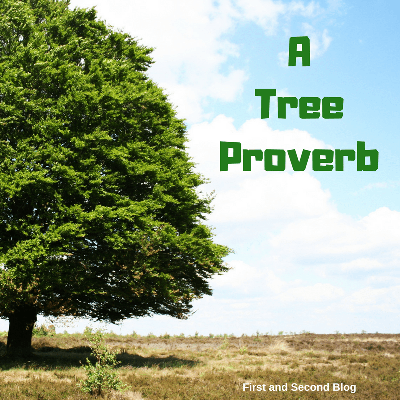 A Tree Proverb - First and Second