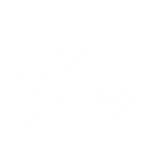 Celestial Delights | Squarespace 7.1 Website Template | Squarespace ...