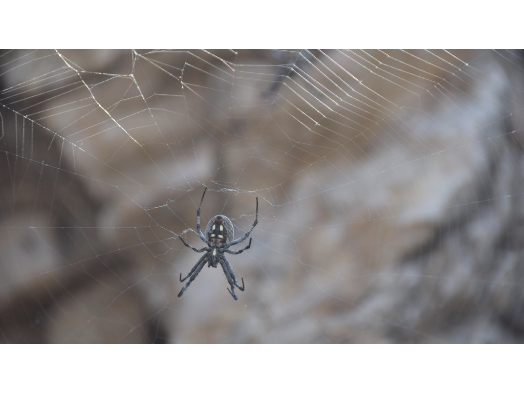 forces, matter, and energy – Constructing Physical Science