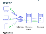 Reverse Proxy 101 What It Is How It Works Use Cases More 2023
