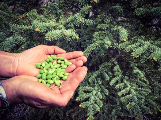 Here's a Tip to Spruce Up Your Meals | First We Eat