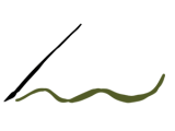 Download Fishtrap