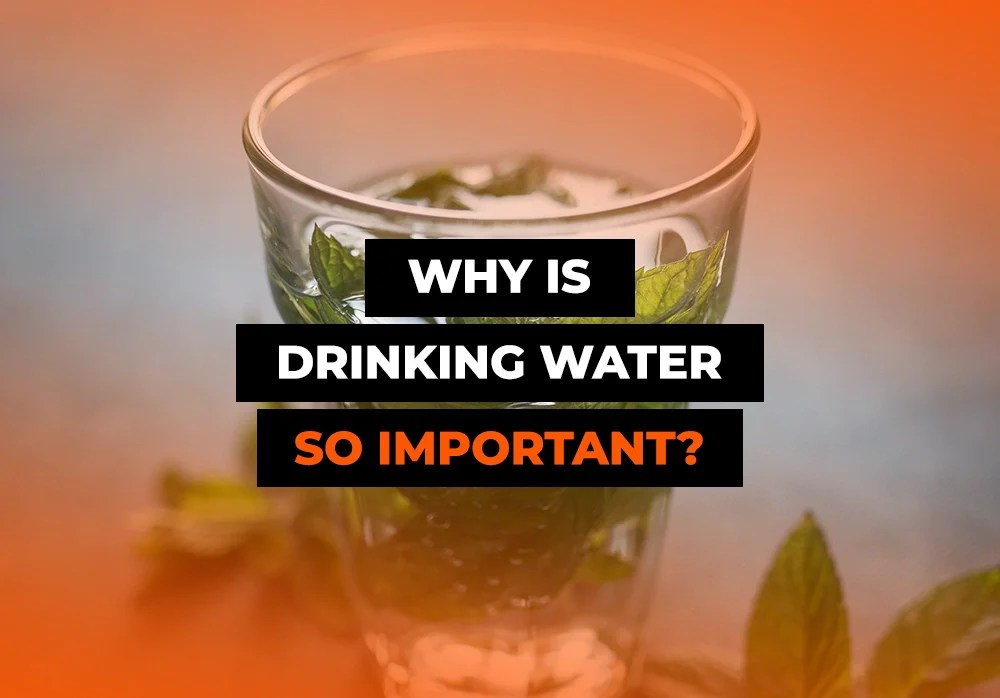 Why Is Drinking Water So Important