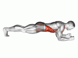 33 Best Core Exercises To Build A Strong Core