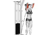 Triceps Workout Routine Created By Balachander S