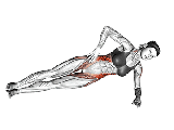 Side Bridging Exercise