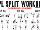 The Basics Of A Ppl Workout Routine A Step By Step Guide