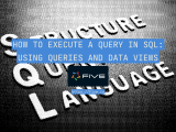 How To Execute A Query In Sql Using Queries And Data Views
