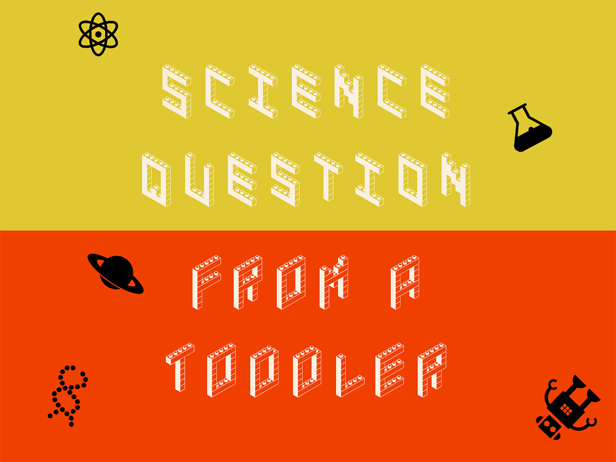 What Would Happen If There Were No Number 6? | FiveThirtyEight