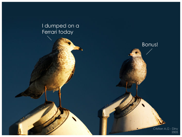 Creative Humorous Photography