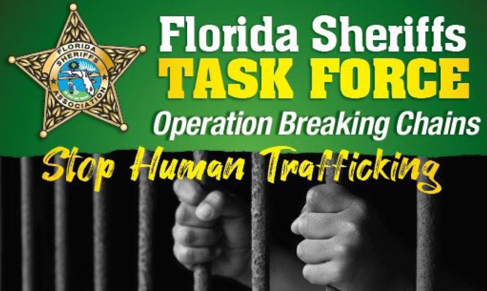 Florida Sheriffs Task Force “Operation Breaking Chains” Nets 363 ...