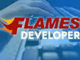 Store Flames Simulation Framework