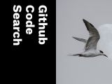 Github Code Search To Quickly Find Code In All Repositories Flaming Codes