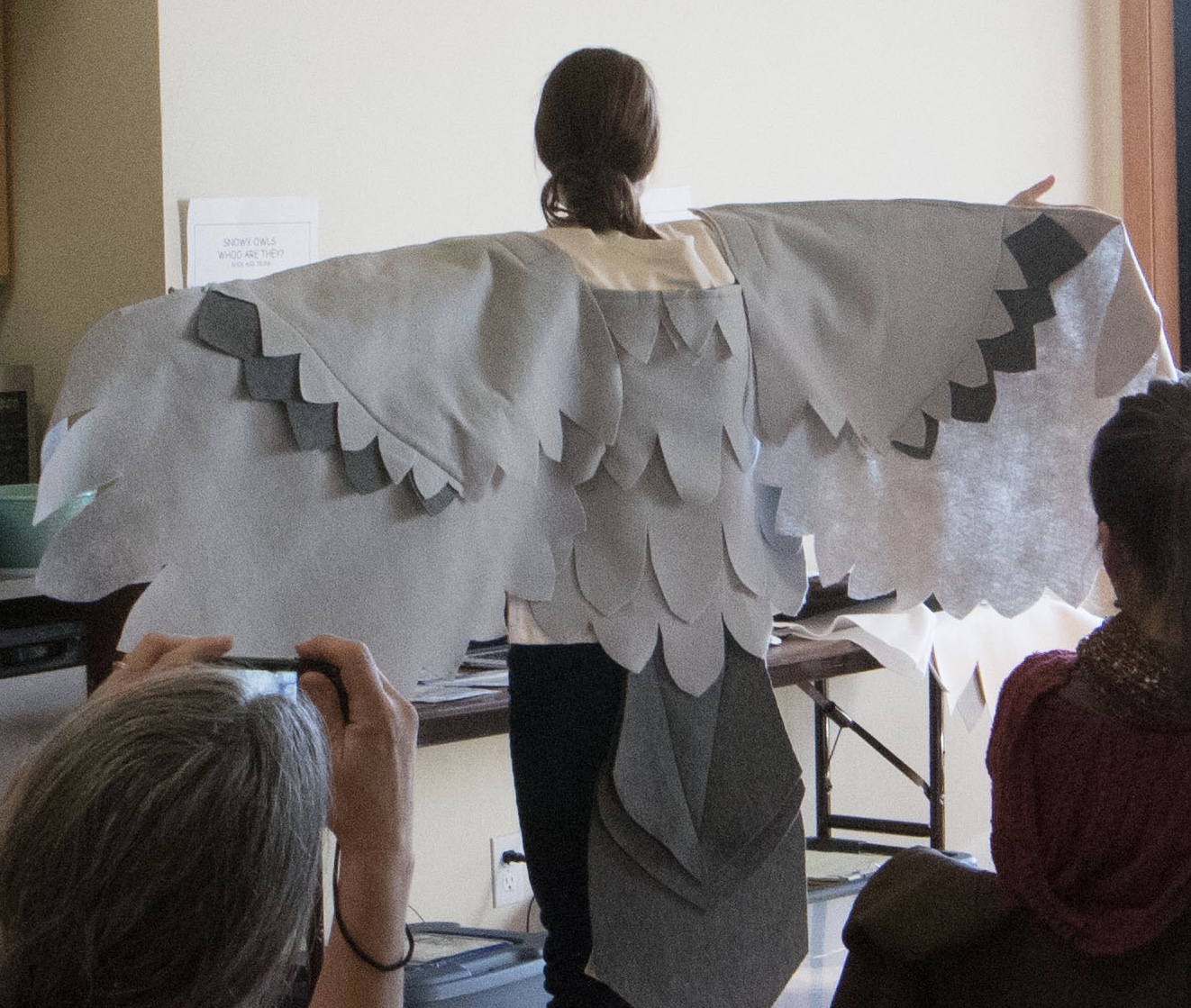 New! Chickadee Who's Who: Bird ID Basics - Flathead Audubon Society