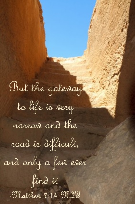 The Narrow Gate that Leads to Life