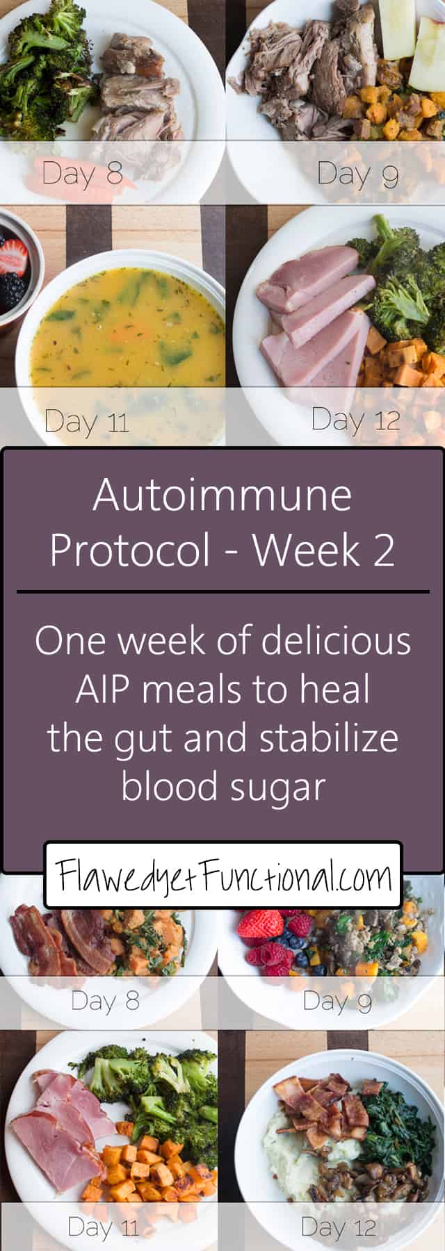 Autoimmune Protocol - Week 2 Review - Flawed yet Functional